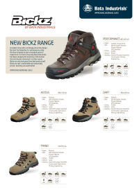 Looking for a Bata Industrials brochure for Indonesia?